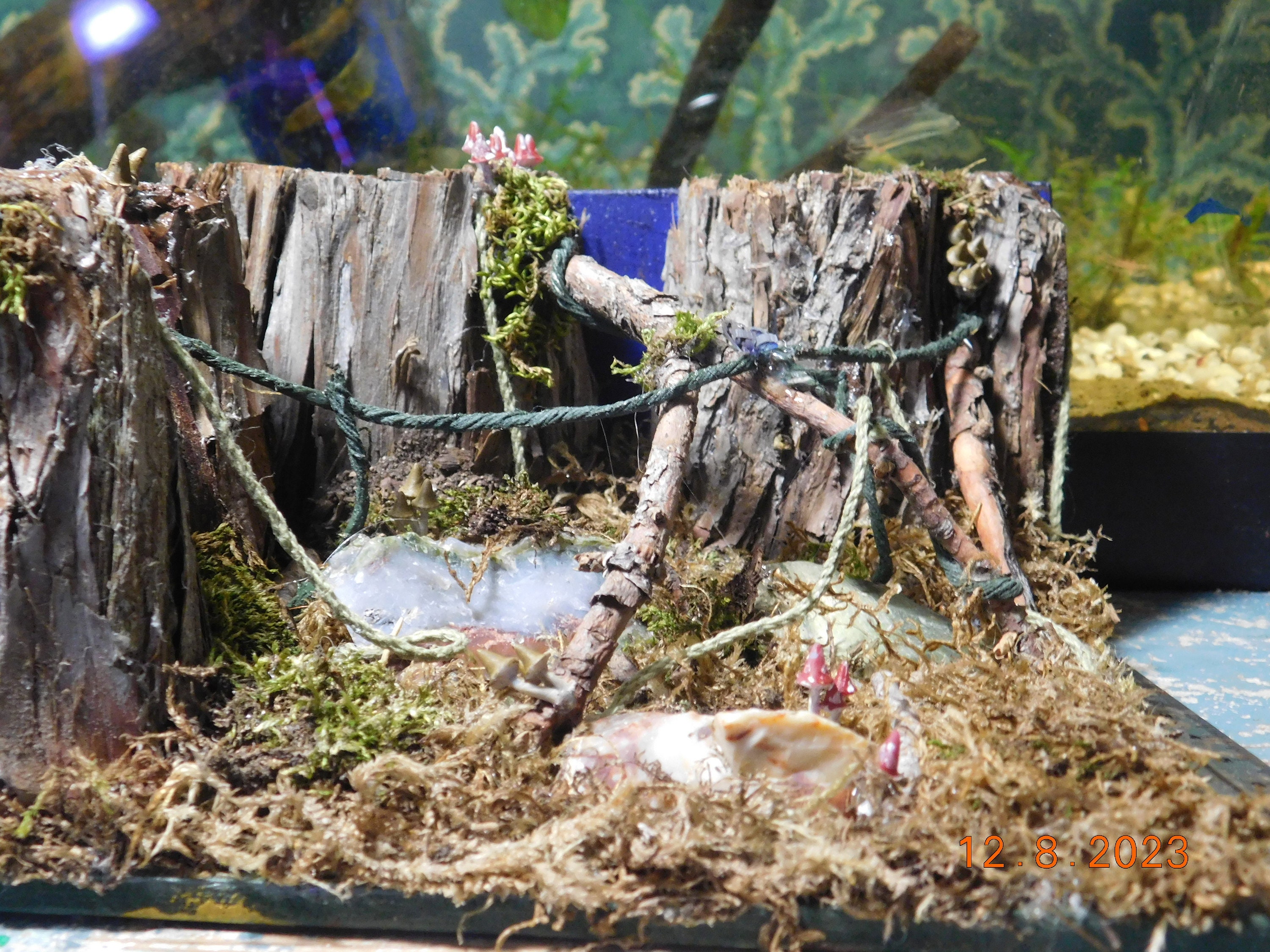Biome Box “deep Jungle”! - Etsy