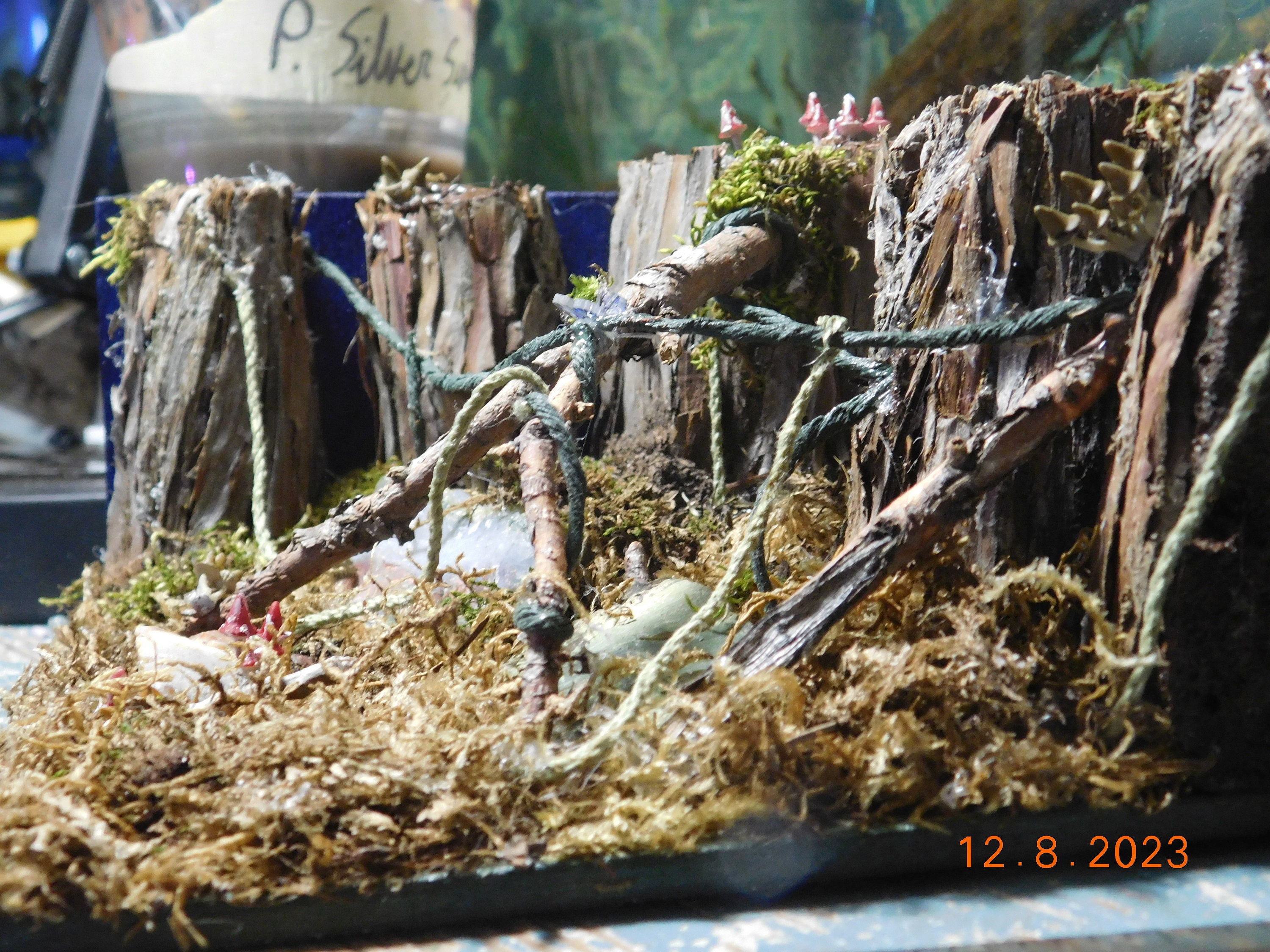 Biome Box “deep Jungle”! - Etsy