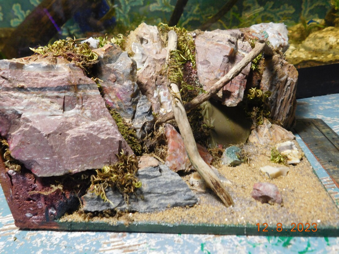 Biome Box “canyon Walls”! - Etsy