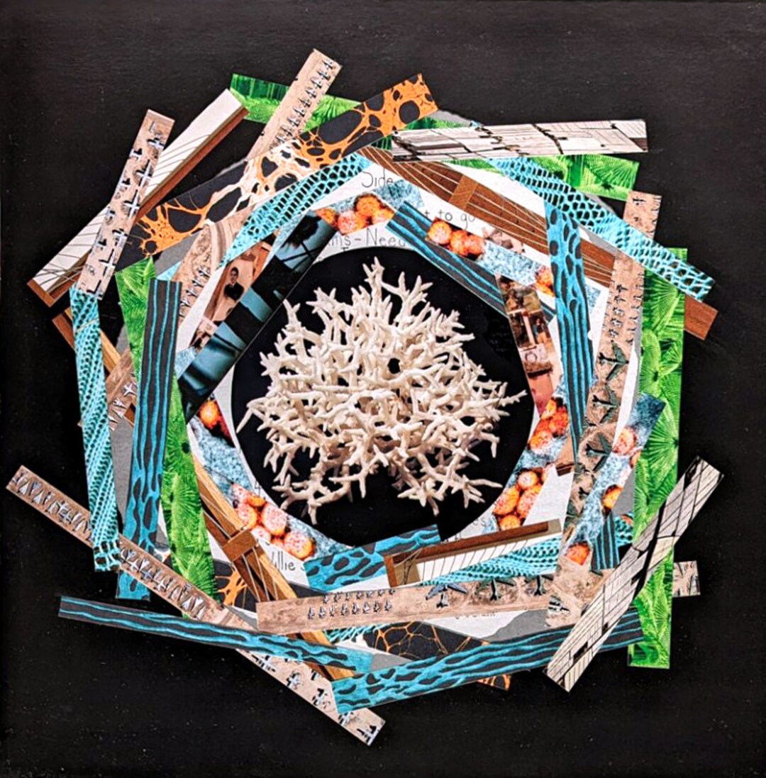 Nature Album Cover Collage - Etsy