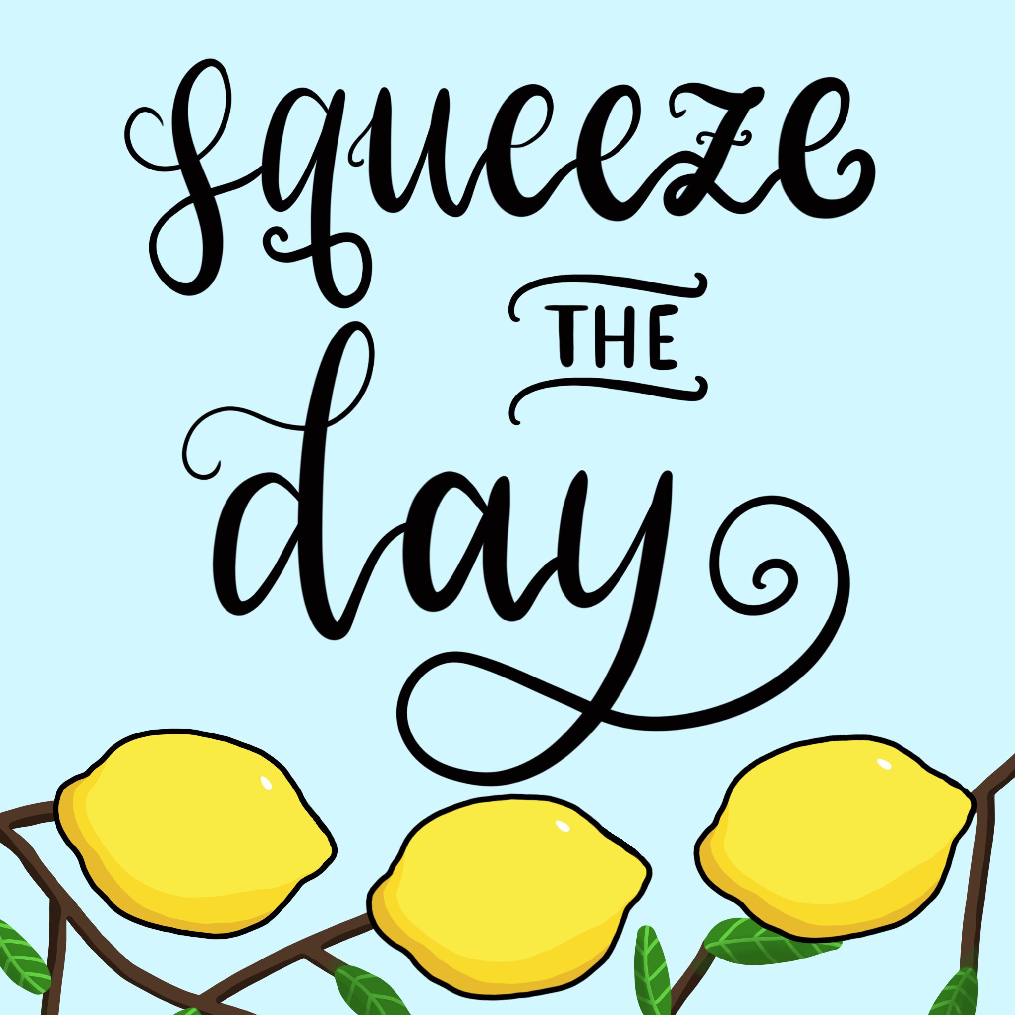 Sticker - Squeeze the Day - Etsy