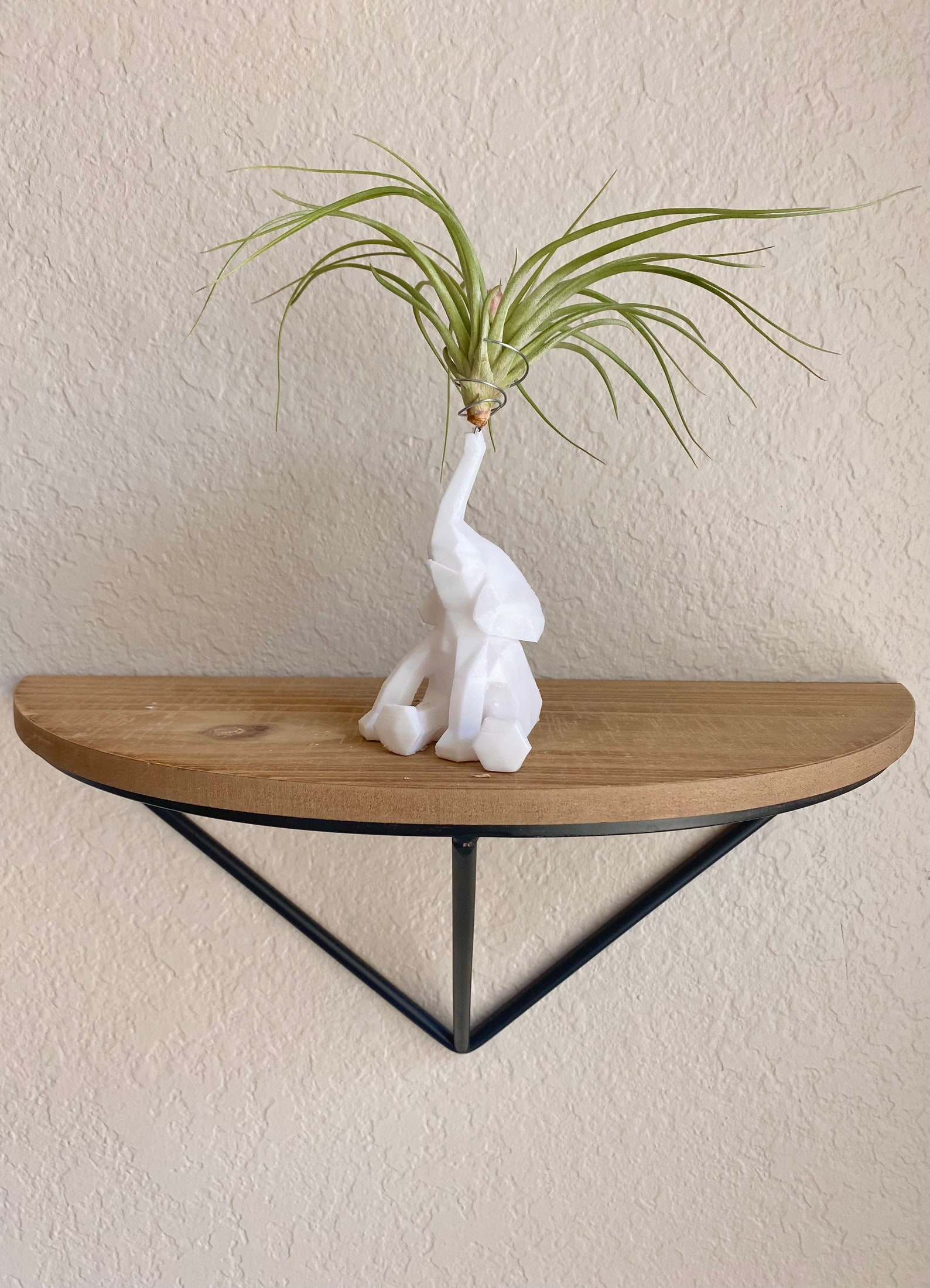 Elephant Air Plant Holder With Air Plant, 3D Print - Etsy