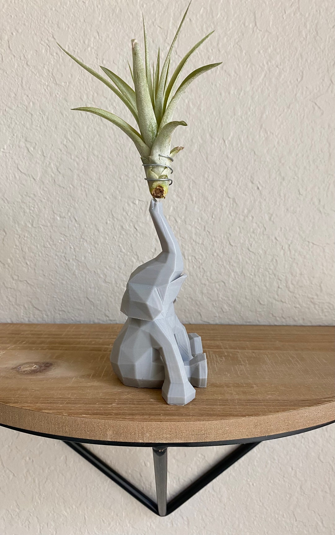 Gray Elephant Air Plant Holder With Air Plant, 3D Print - Etsy