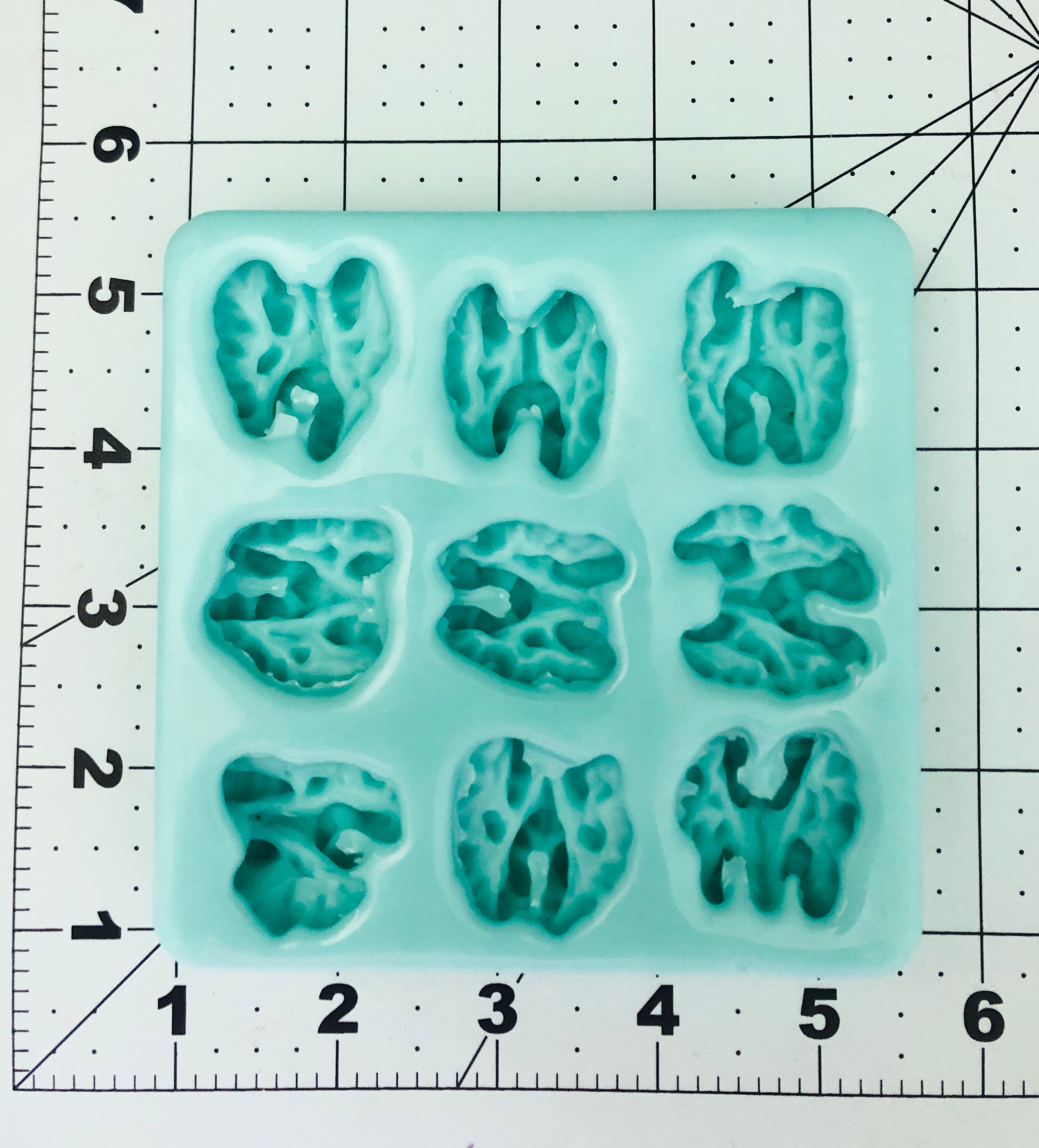 9pc Walnuts Shape Silicone Mold Realistic Food Shape for - Etsy