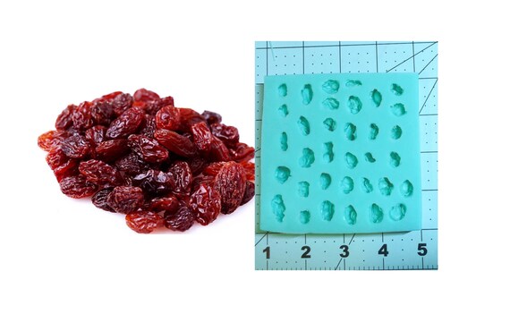 33pc Raisin Shape Silicone Wax Moldrealistic Raisin Food | Etsy