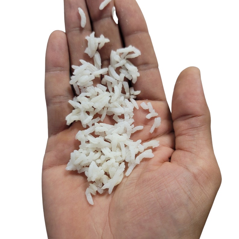 125pc Realistic Cooked Rice Grains Silicone Mold Asian - Etsy