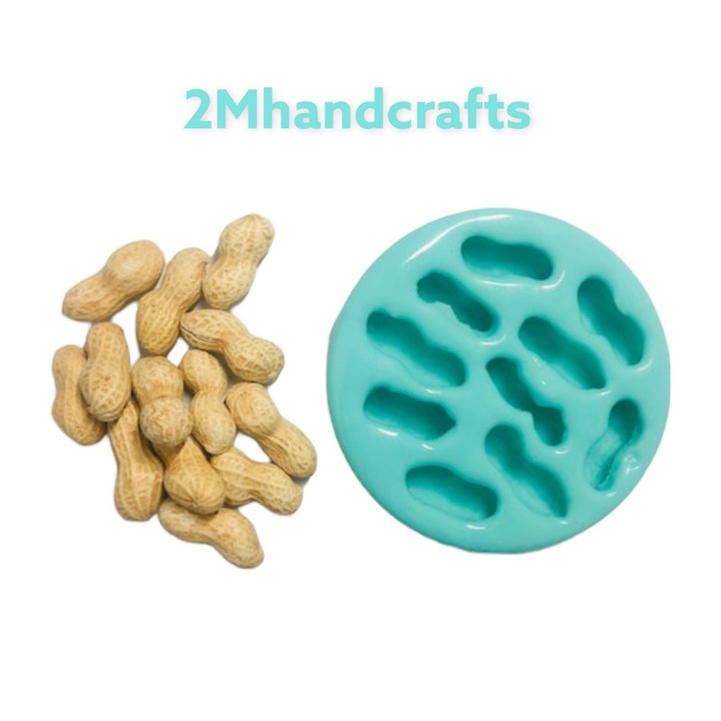 Shell Silicone Mold - Etsy