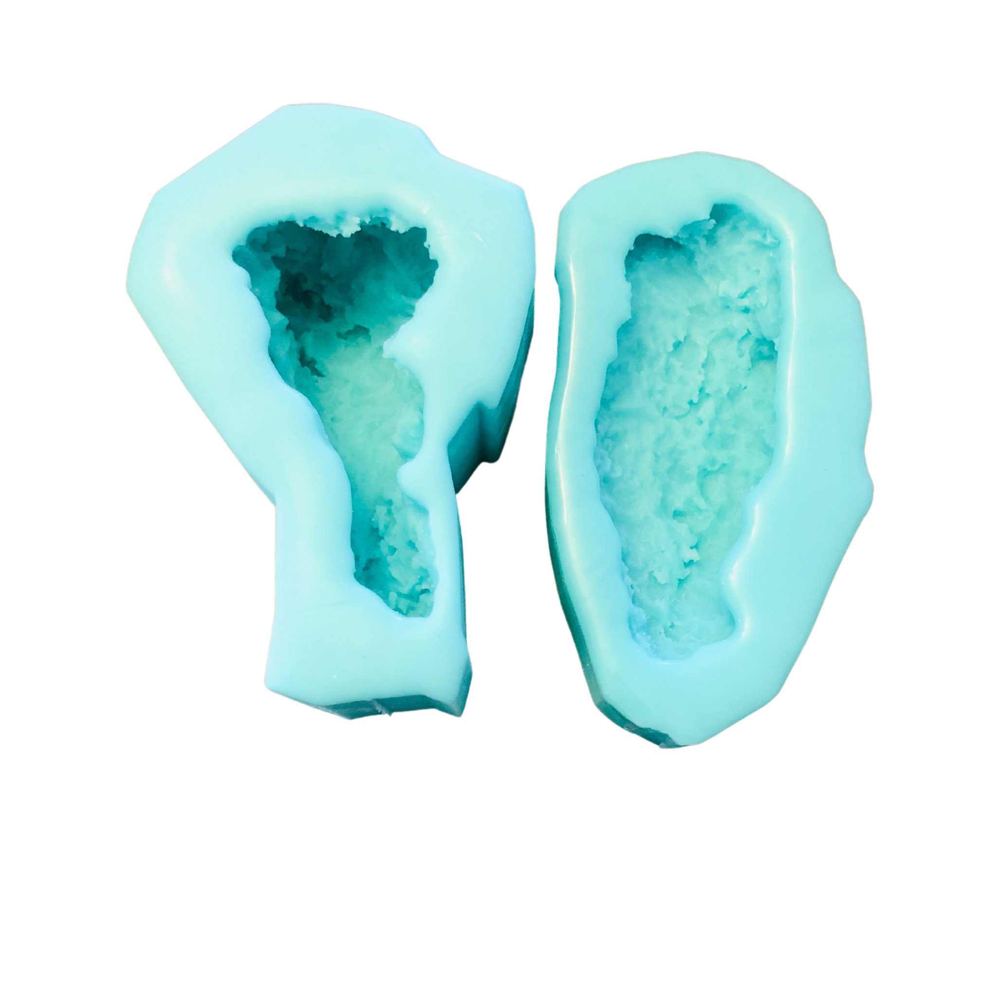 2pc Combo Chicken Wings Silicone Mold| Realistic Food Shaped Mold ...