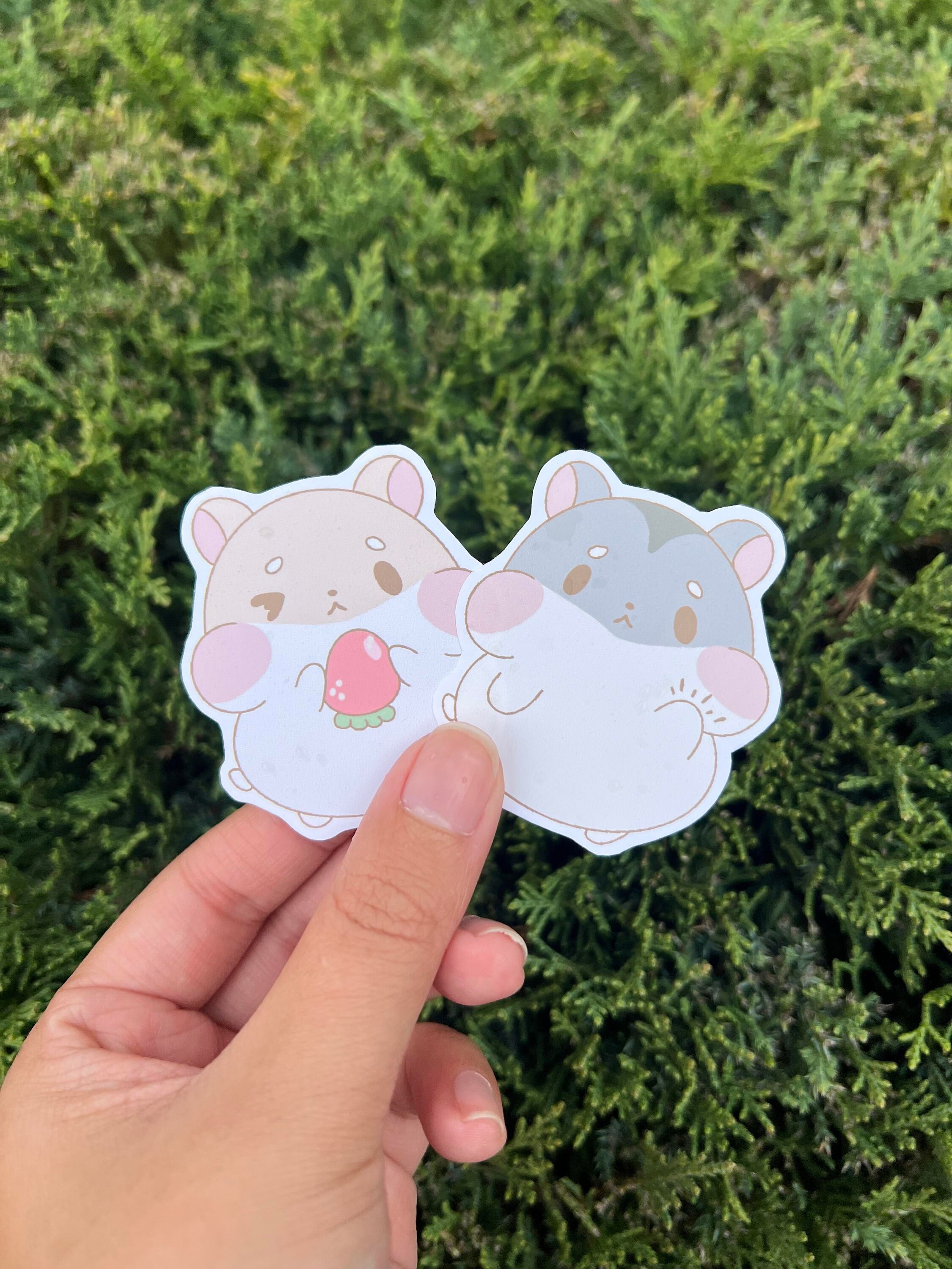 Cute Hamster Sticker Vinyl Hamster Sticker Dwarf Syrian Decorative ...