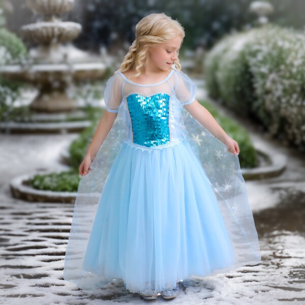Ice Queen Costume - Etsy