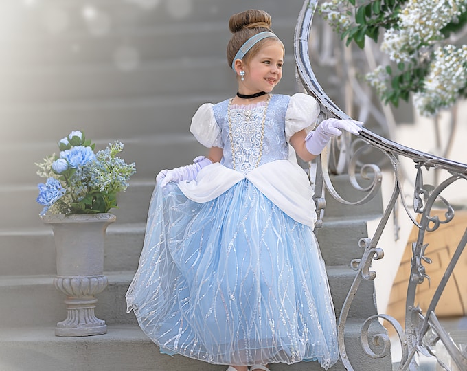 Cinderella Dress Costume Set: Birthday Party Ball Gown - Etsy