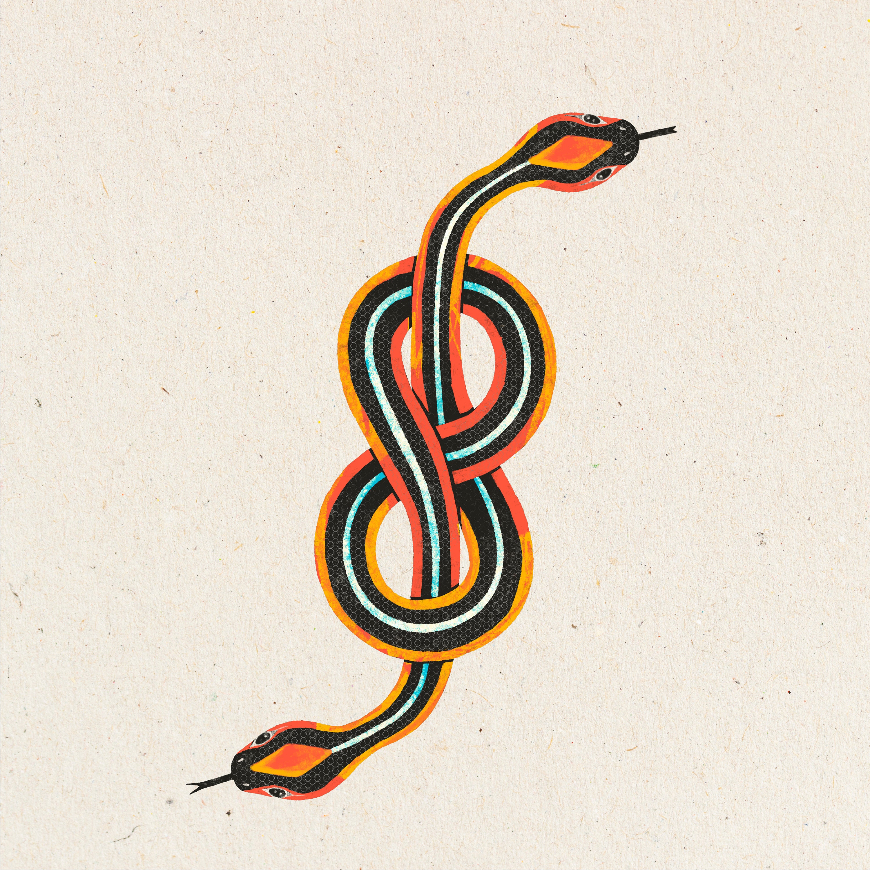 Poster and Custom Frames Figure 8 Snake Giclée Reproduced - Etsy