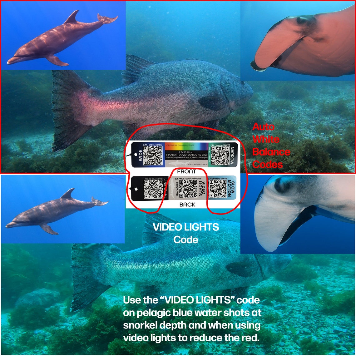 4K PRO Gopro QR Codes underwater Camera Settings for Hero9 - Etsy
