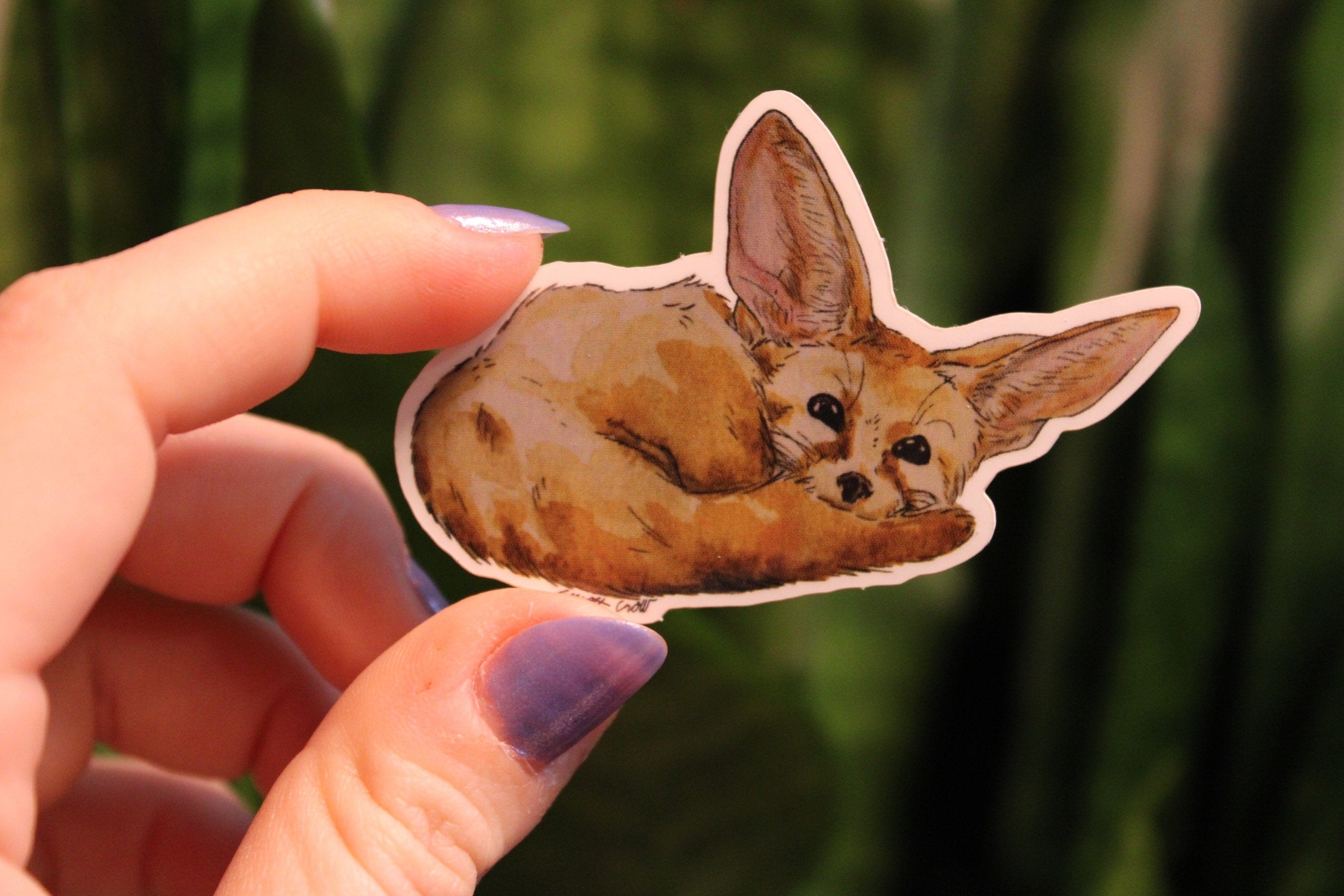 Fennec Fox Vinyl Sticker - Etsy