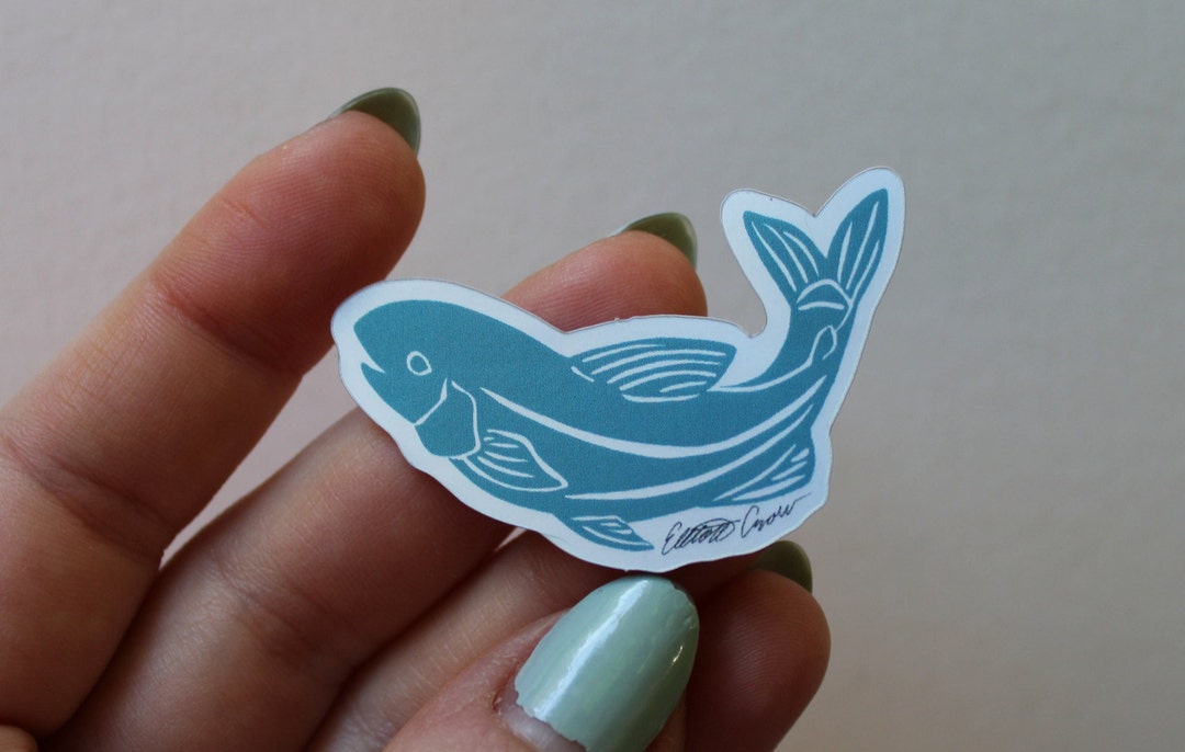 Matta Holographic Fish Vinyl Sticker - Etsy