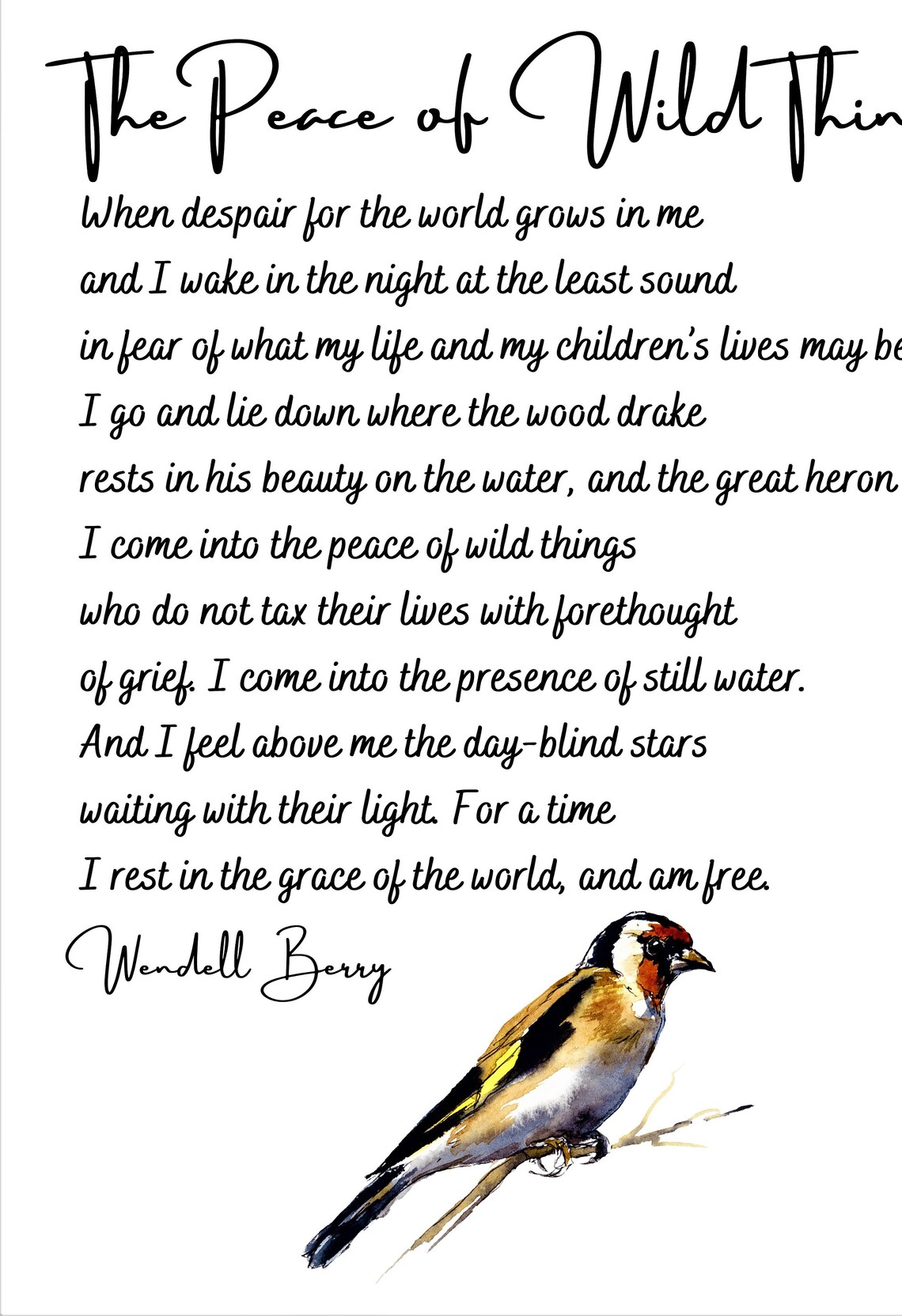 Buy Wendell Berry Poem Peace of Wild Things Wendell Berry Print Online ...