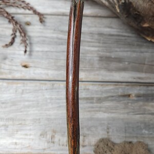 Wand - Bush Root 13 3/4", Handmade Wooden Magic Wand, One-of-a Kind ...