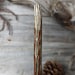Wand Bush Root 14 1/2, Handmade Wooden Magic Wand, One-of-a Kind ...