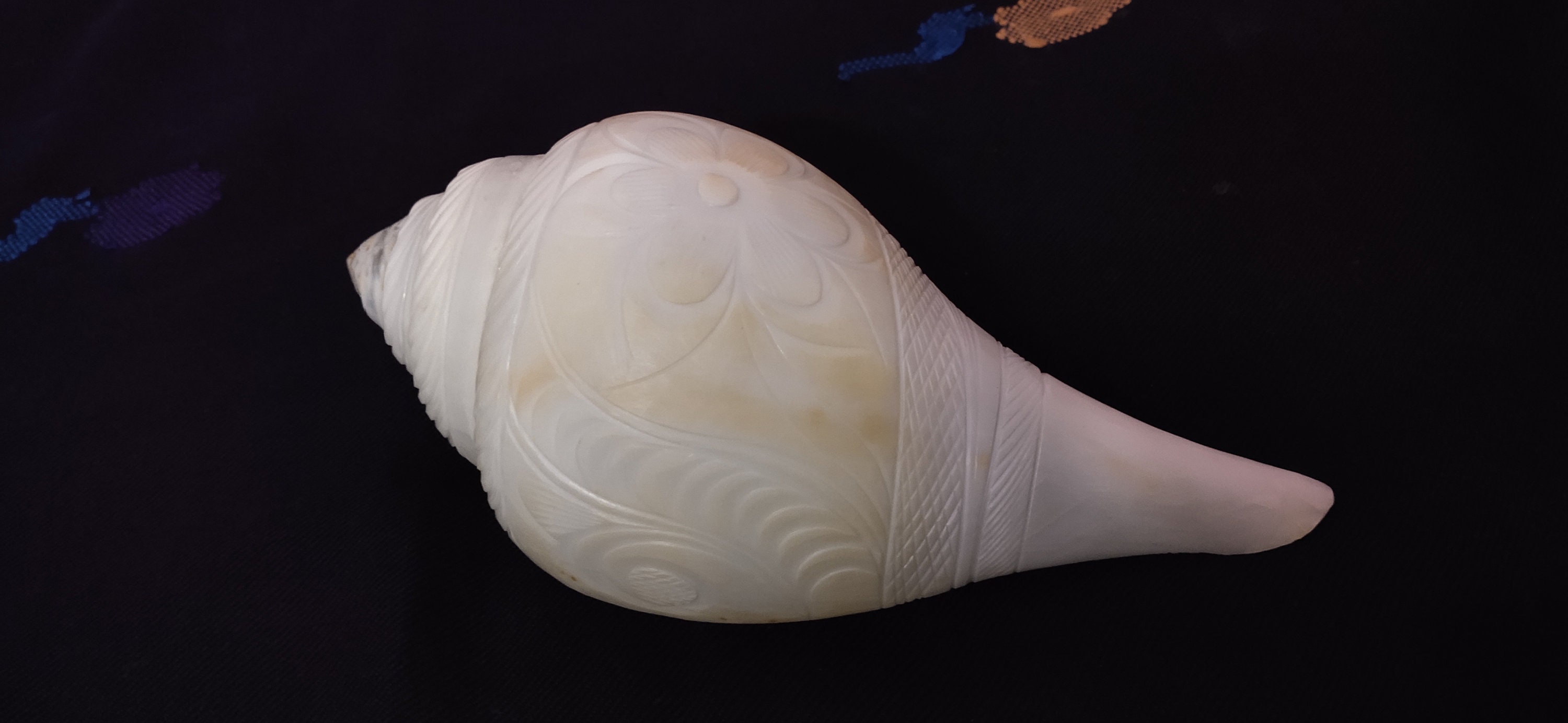 Sankh Handmade Design Conch Shell/ Non Blowing Sankh/ Conch Shell - Etsy UK