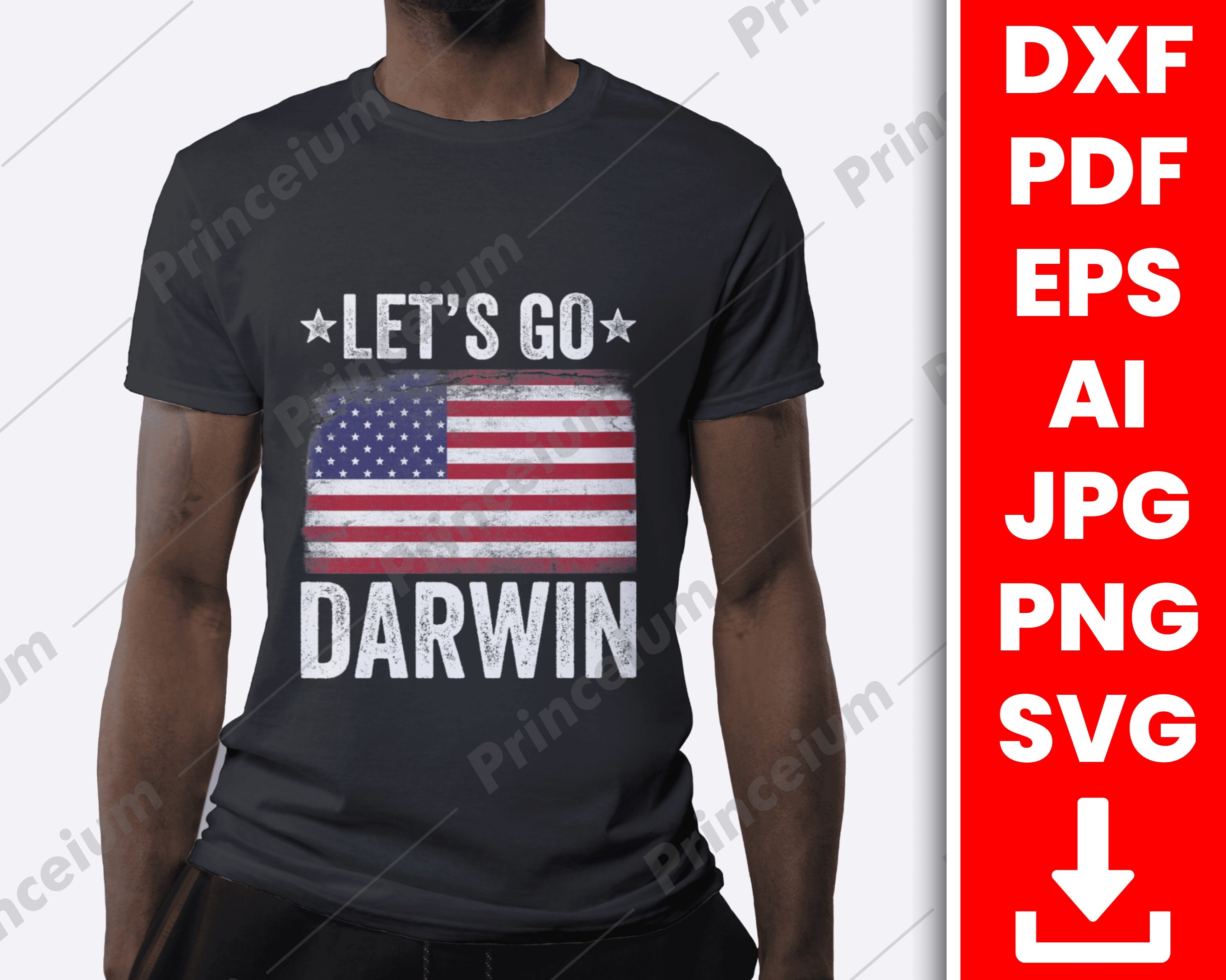 American flag SVG Fully Vaccinated Svg Let's Go Darwin American Flag ...