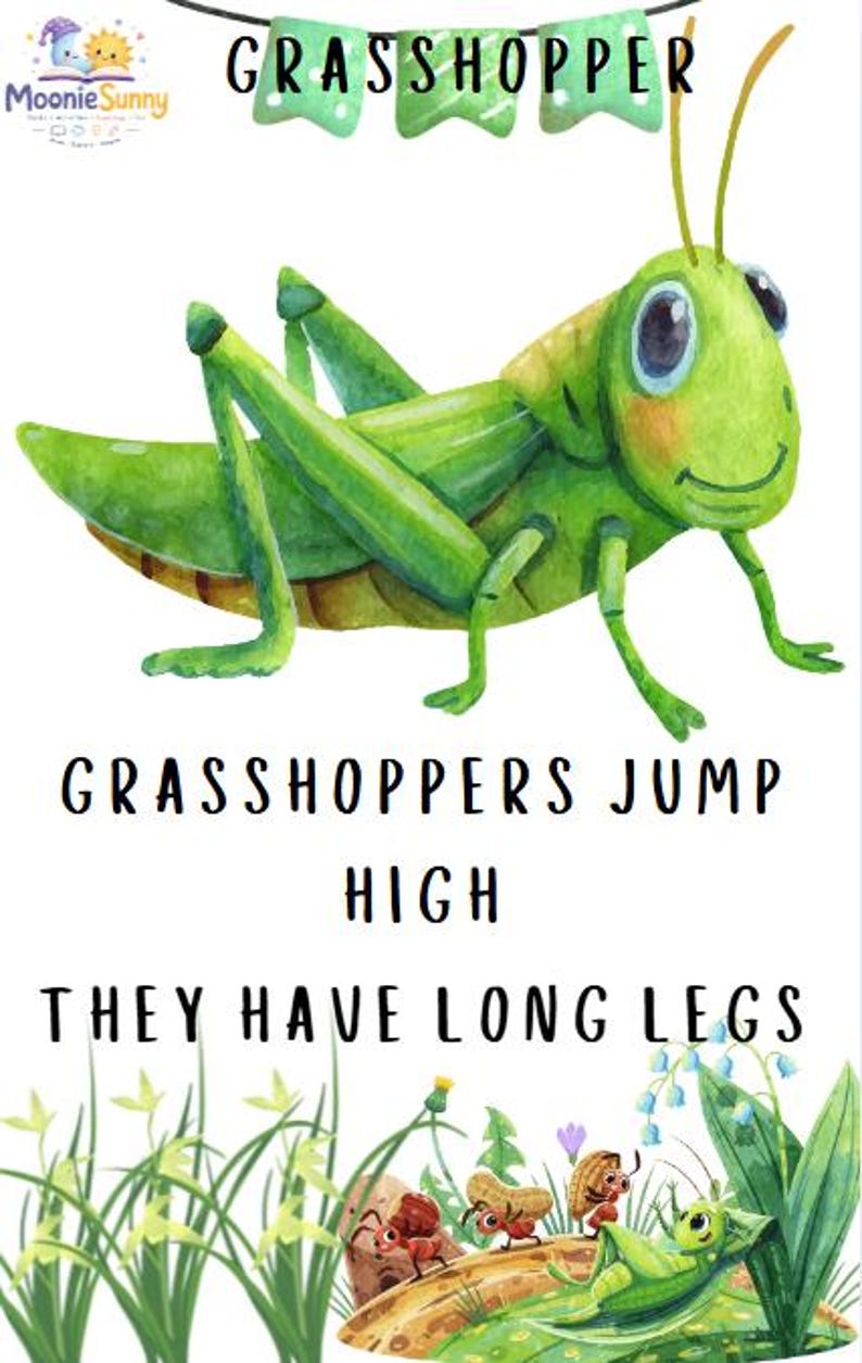 Bugs and Insects Busy Book Printable - Preschool Learning Binder ...