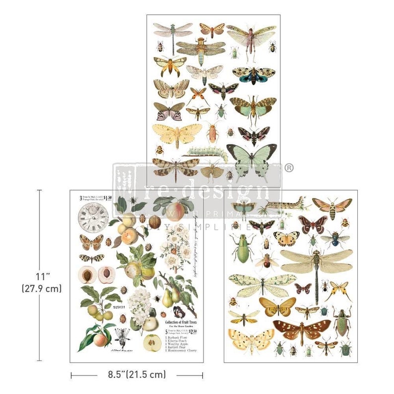 Bug Whisperer Middie Decor Transfer Apr23 3 Sheets, 8.5x11 Redesign ...