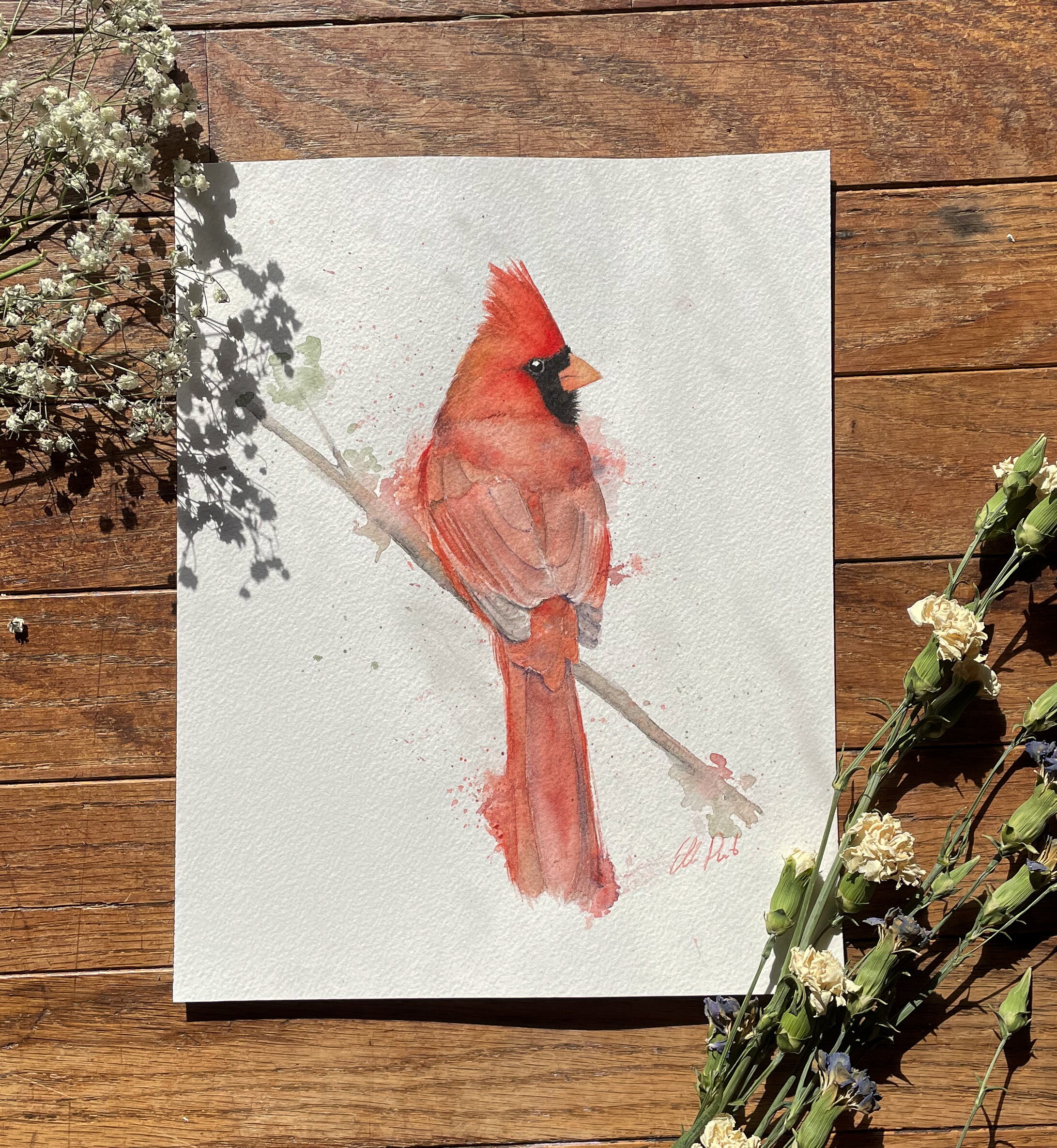 Watercolor Male Cardinal - Etsy