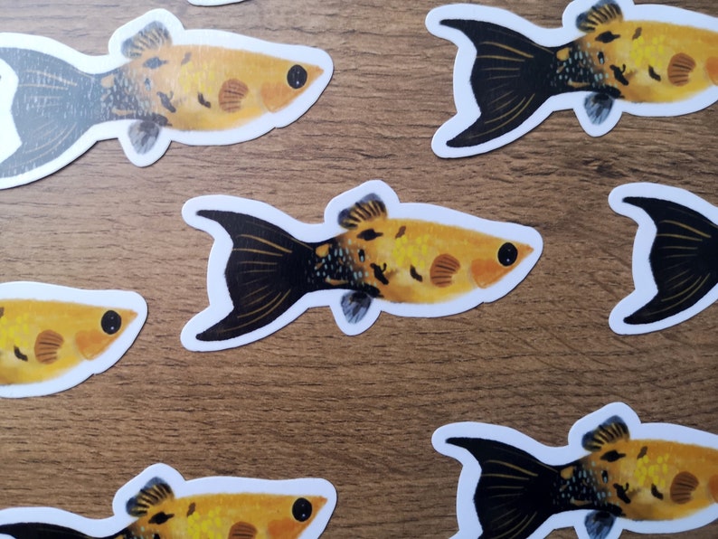 Molly Fish - Glossy Waterproof Die Cut Sticker - Etsy