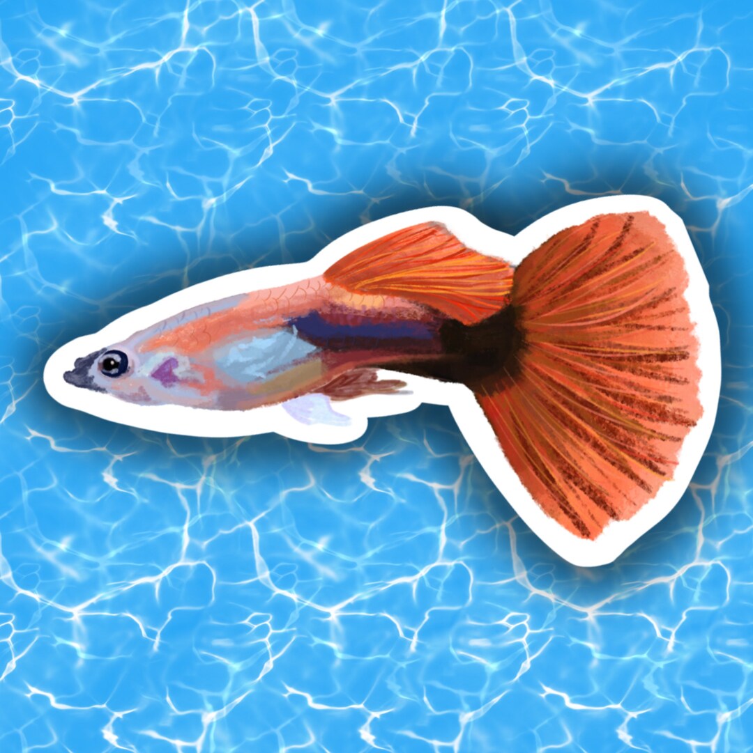Guppy - Waterproof Glossy Die Cut Sticker - Etsy