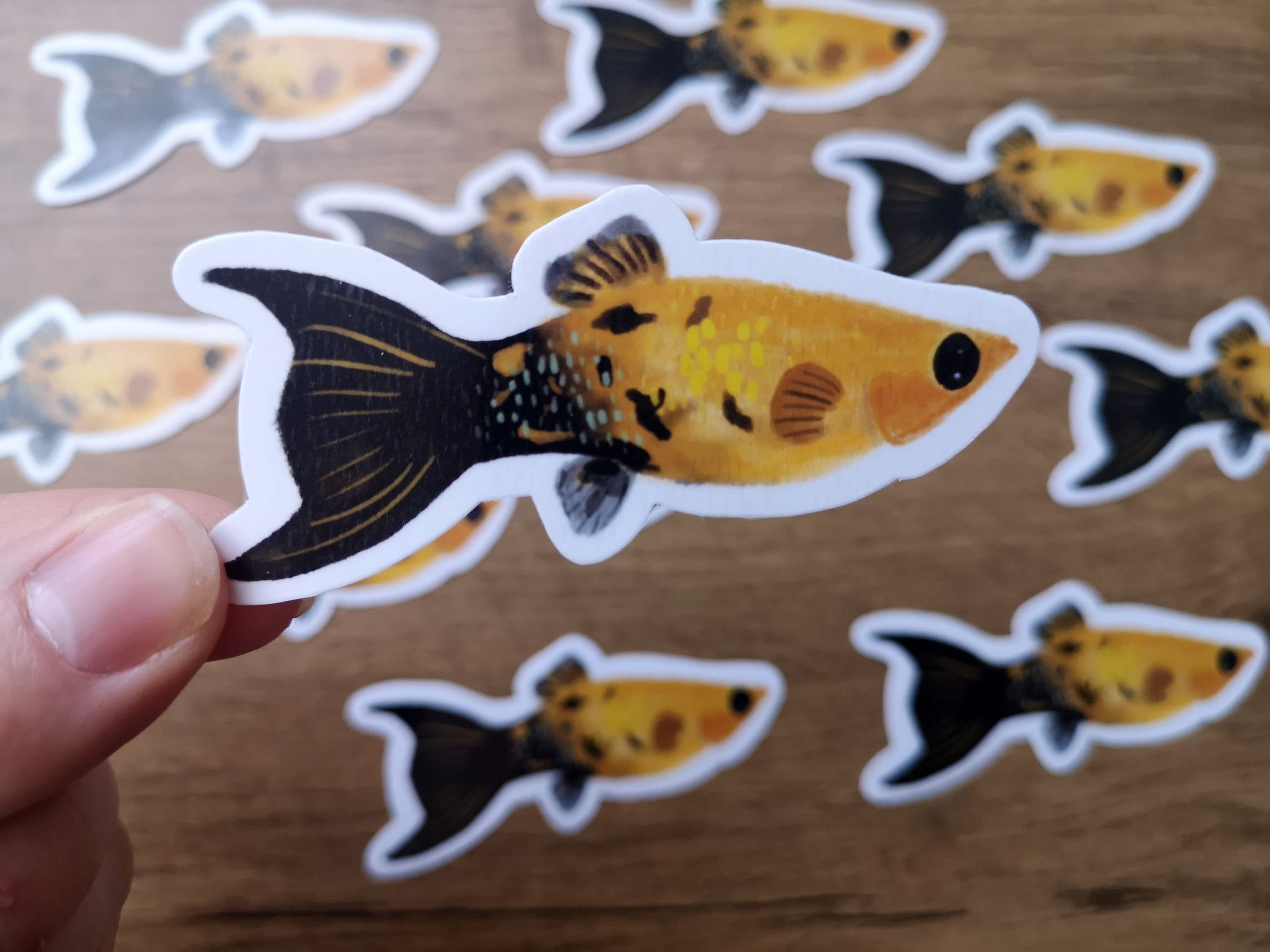 Molly Fish - Glossy Waterproof Die Cut Sticker - Etsy