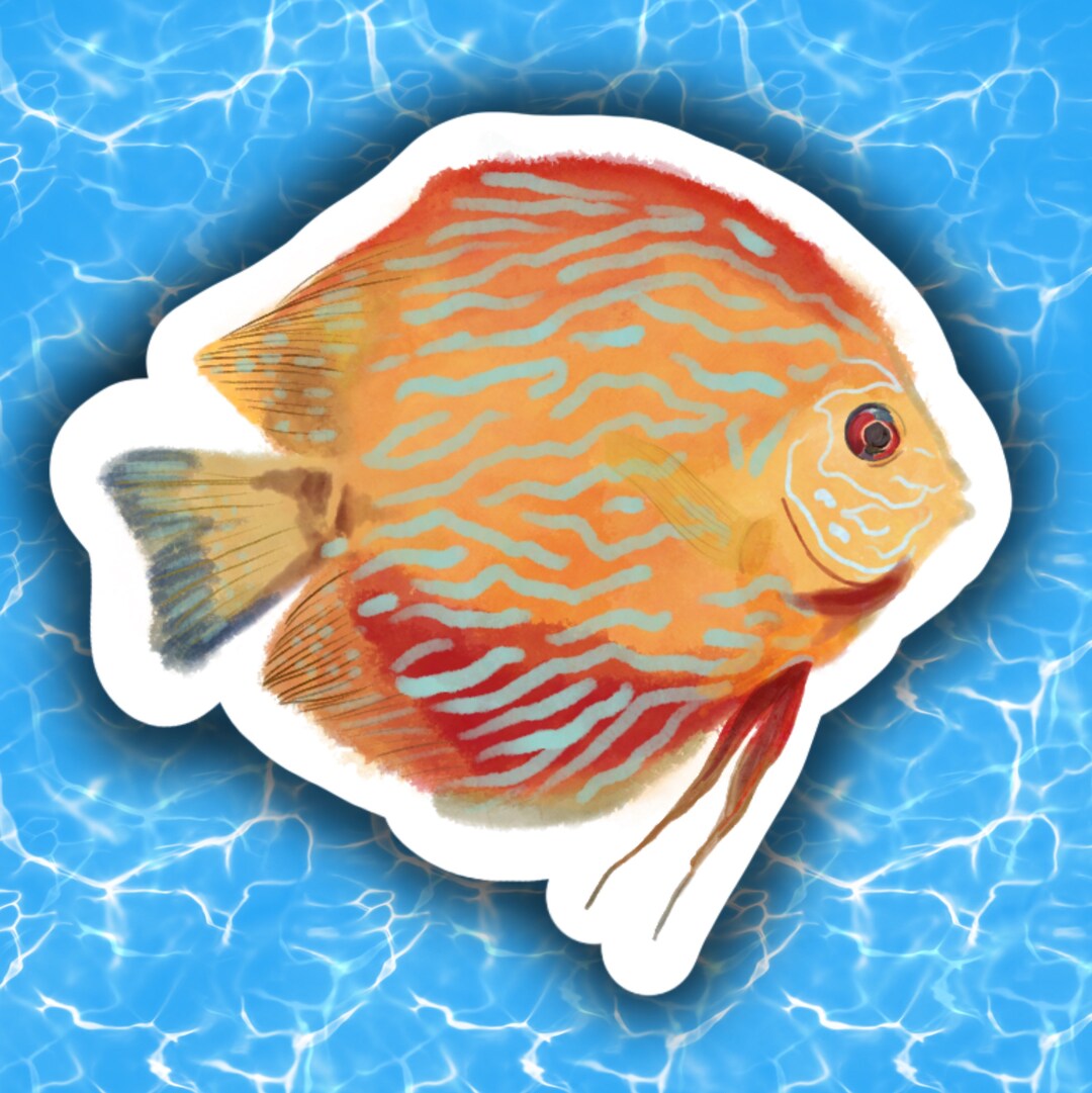 Discus Fish - Glossy Waterproof Die Cut Sticker - Etsy