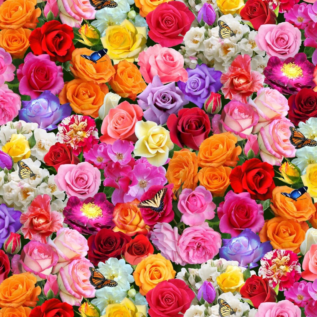 BURST of Color, Roses Multi by Elizabeths Studio - Etsy
