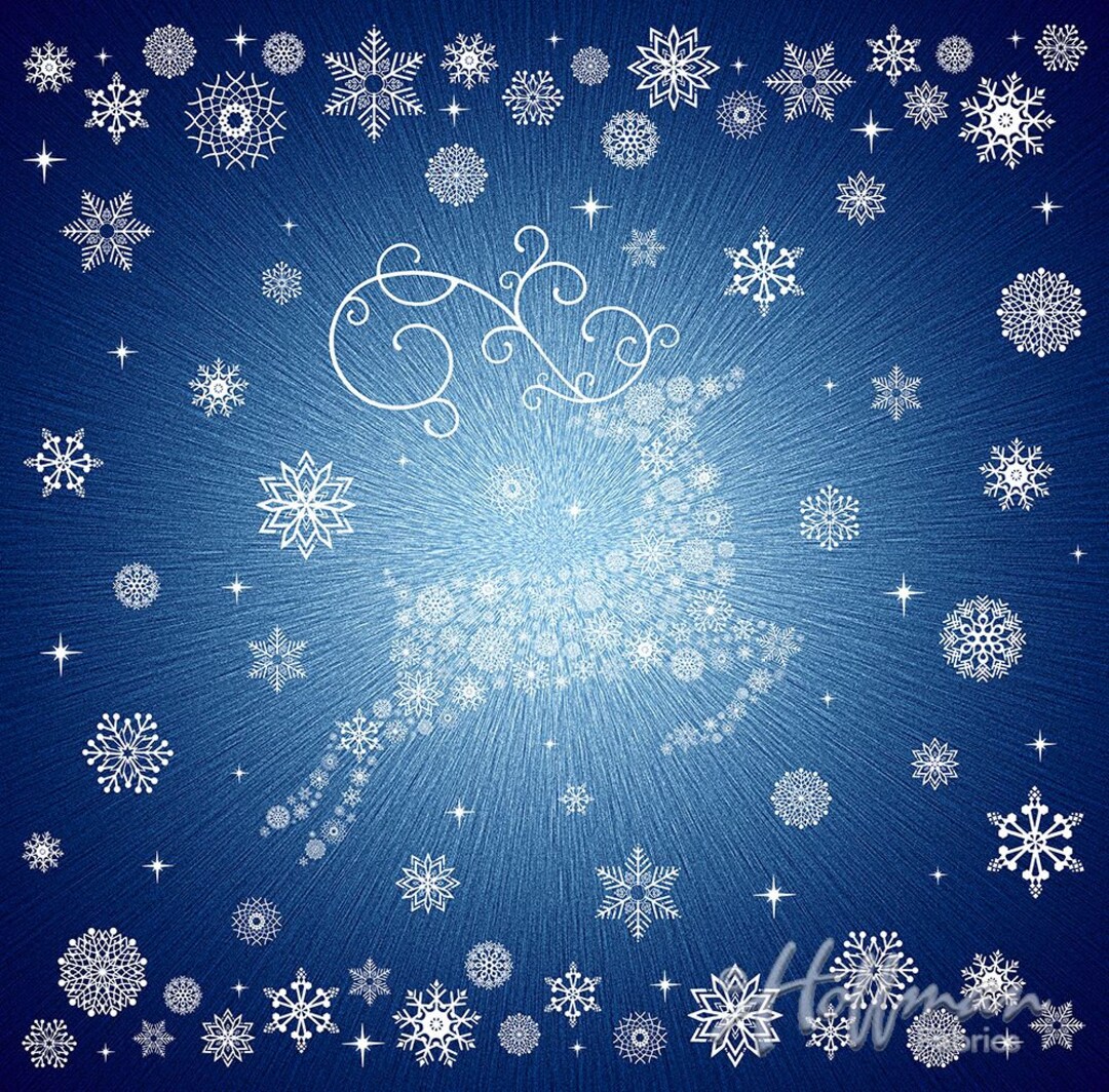 Supernova Seasons by Hoffman Fabrics - Etsy