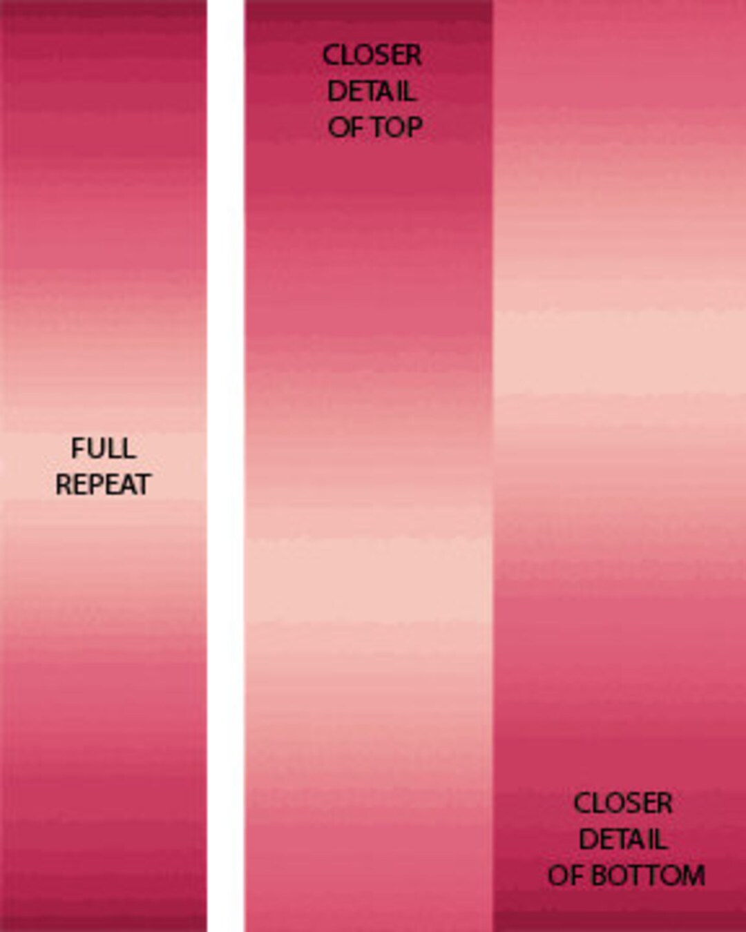 Essential Gradations, COLOR FAMILIES Red Rose - Etsy