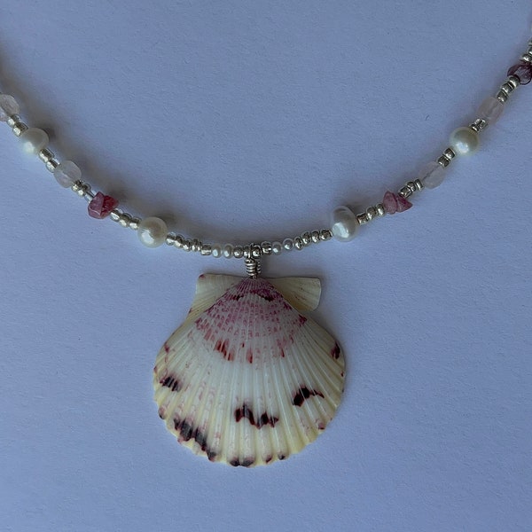 Scallop Shell Necklace - Etsy