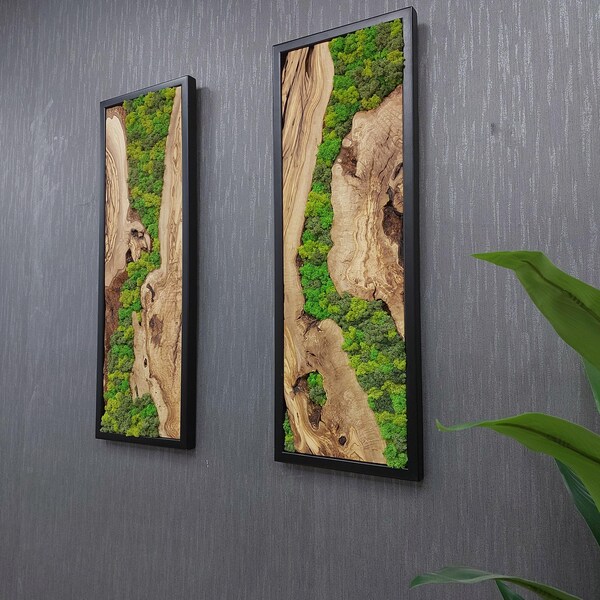 Moss Wall Decor, - Etsy