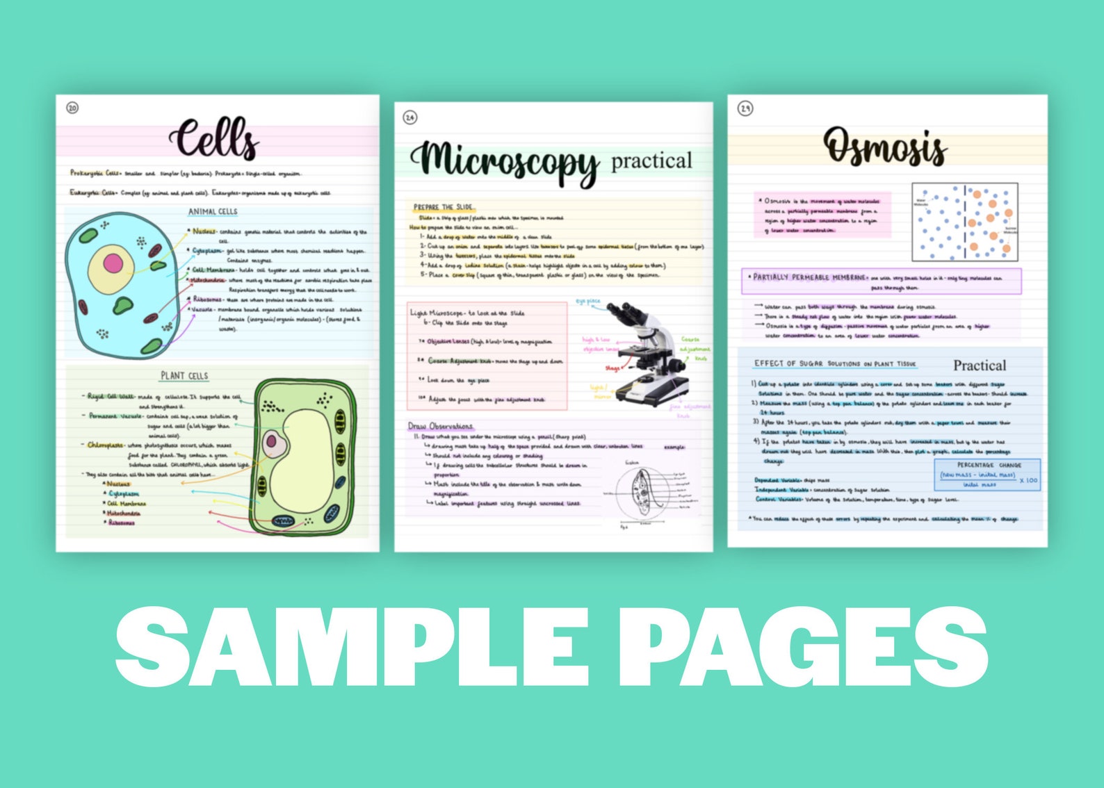 AQA GCSE (9-1) Combined Science Revision Notes : Biology One | Revision ...