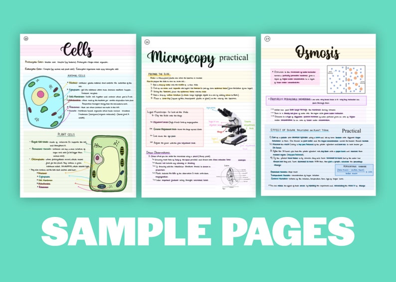 AQA GCSE (9-1) Combined Science Revision Notes : Biology One | Revision ...