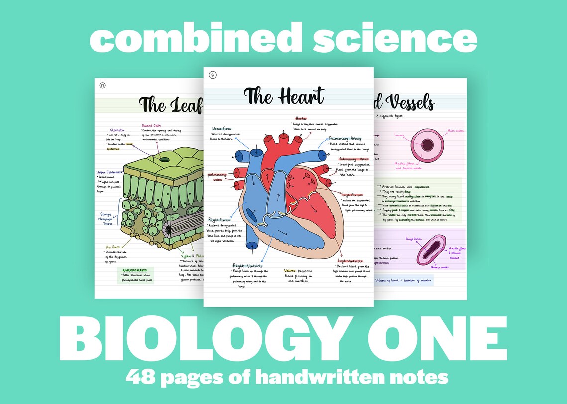 AQA GCSE (9-1) Combined Science Revision Notes : Biology One | Revision ...