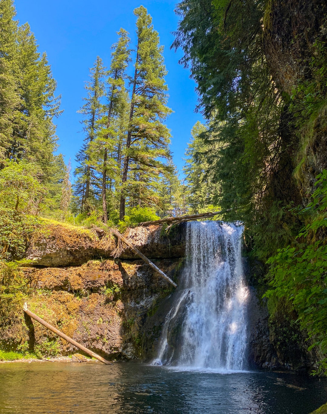 Silver Falls State Park, East of Salem Oregon. Upper North Falls ...