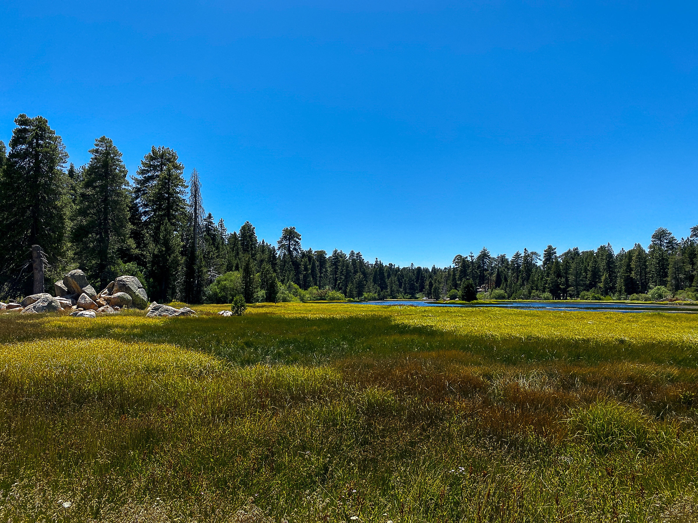 Hiking Around Bluff Lake Preserve, Near Big Bear California - Etsy