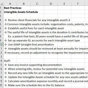 Intangible Asset Schedule - Digital Download - Google Sheets/excel - Etsy