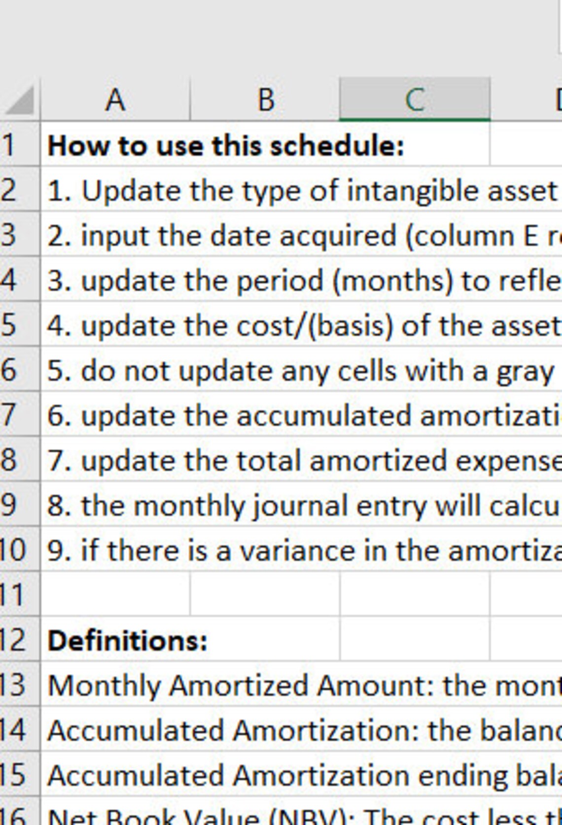 Intangible Asset Schedule - Digital Download - Google Sheets/excel - Etsy