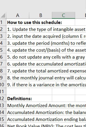 Intangible Asset Schedule - Digital Download - Google Sheets/excel - Etsy