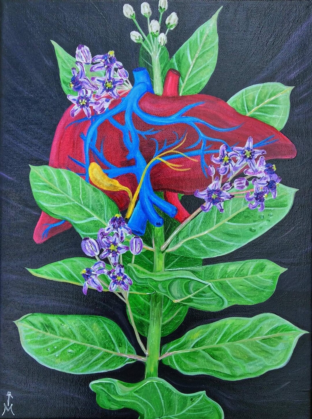 Floral Art, Anatomical Art, Anatomical Liver, Heart With Flowers, Liver ...