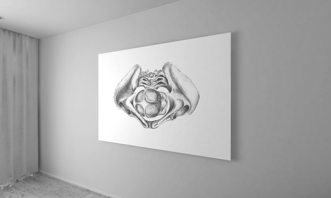 Flexed Face Pelvis Presentation - Etsy