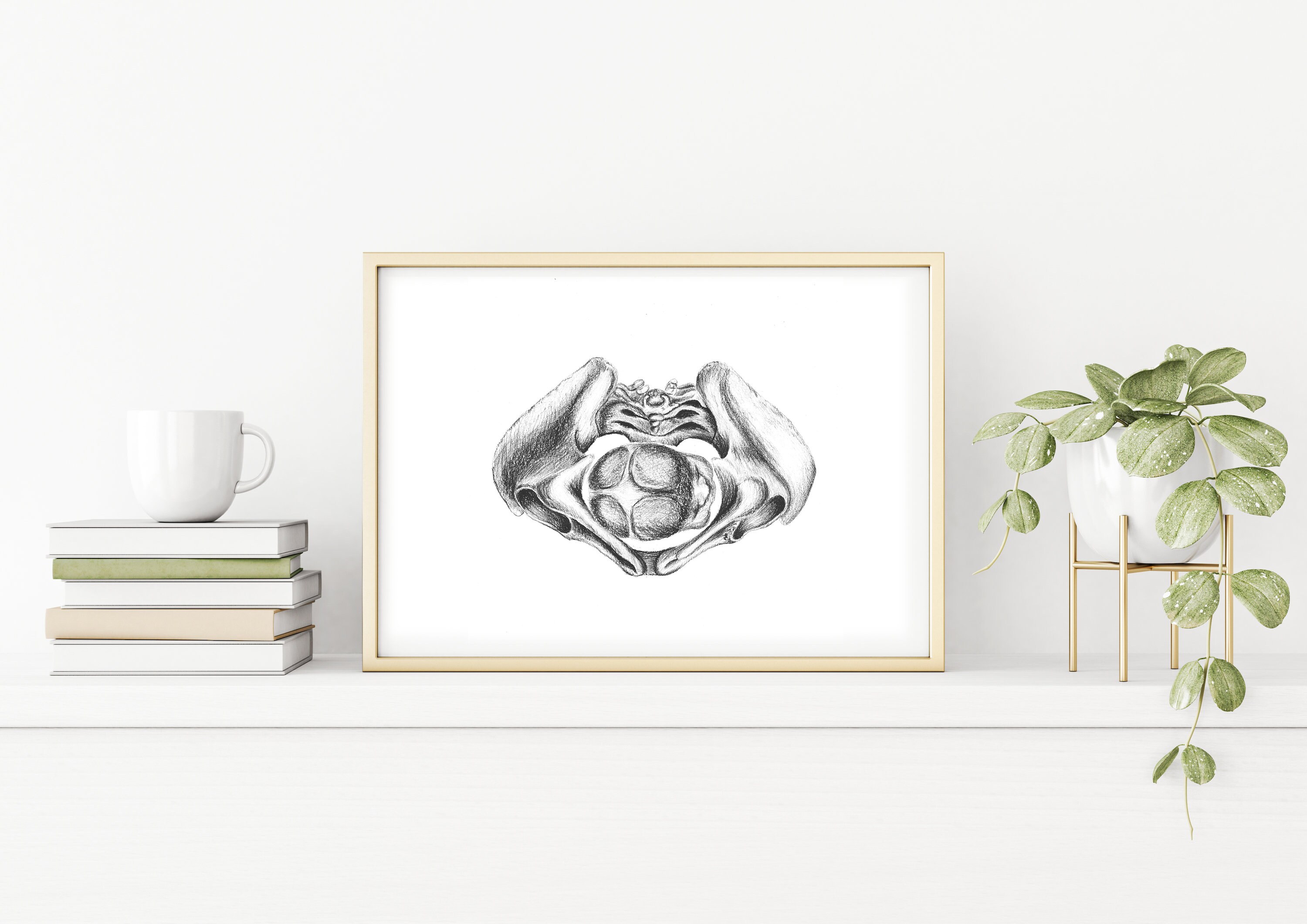 Flexed Face Pelvis Presentation - Etsy