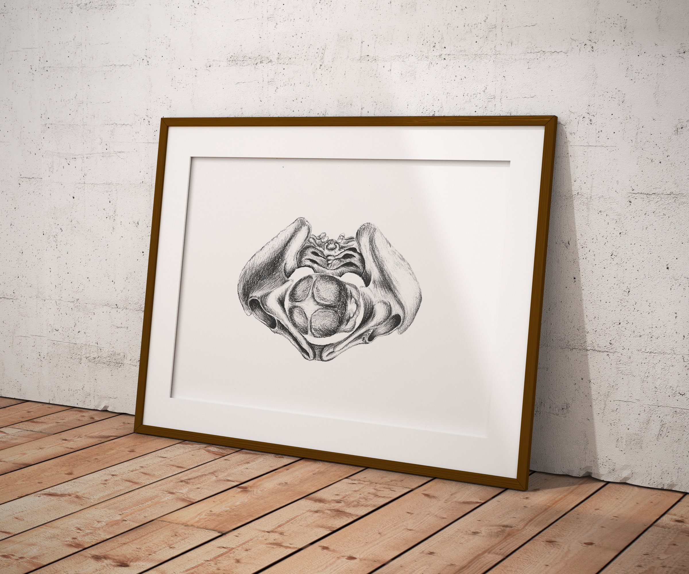 Flexed Face Pelvis Presentation - Etsy