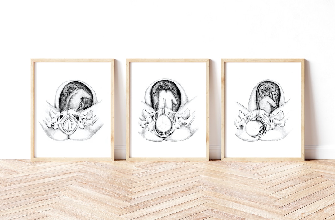 Cardinal Movements of Labor Series Set of Five Prints Birth/doula ...