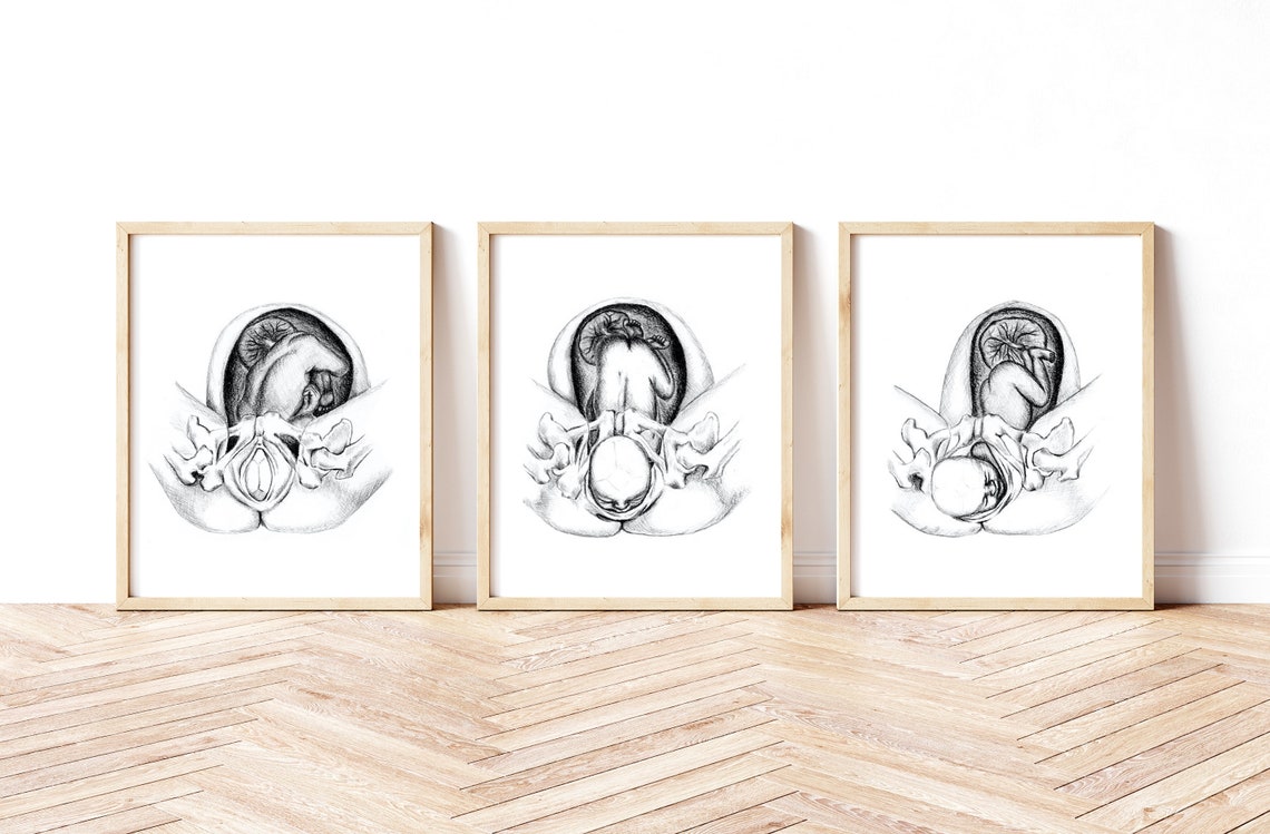 Cardinal Movements of Labor Series Set of Five Prints Birth/doula ...